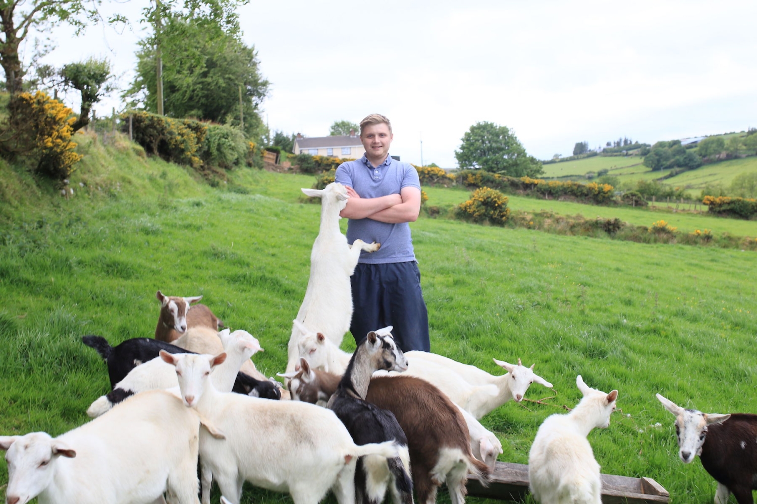 About Us - Craigbane Goat Farm